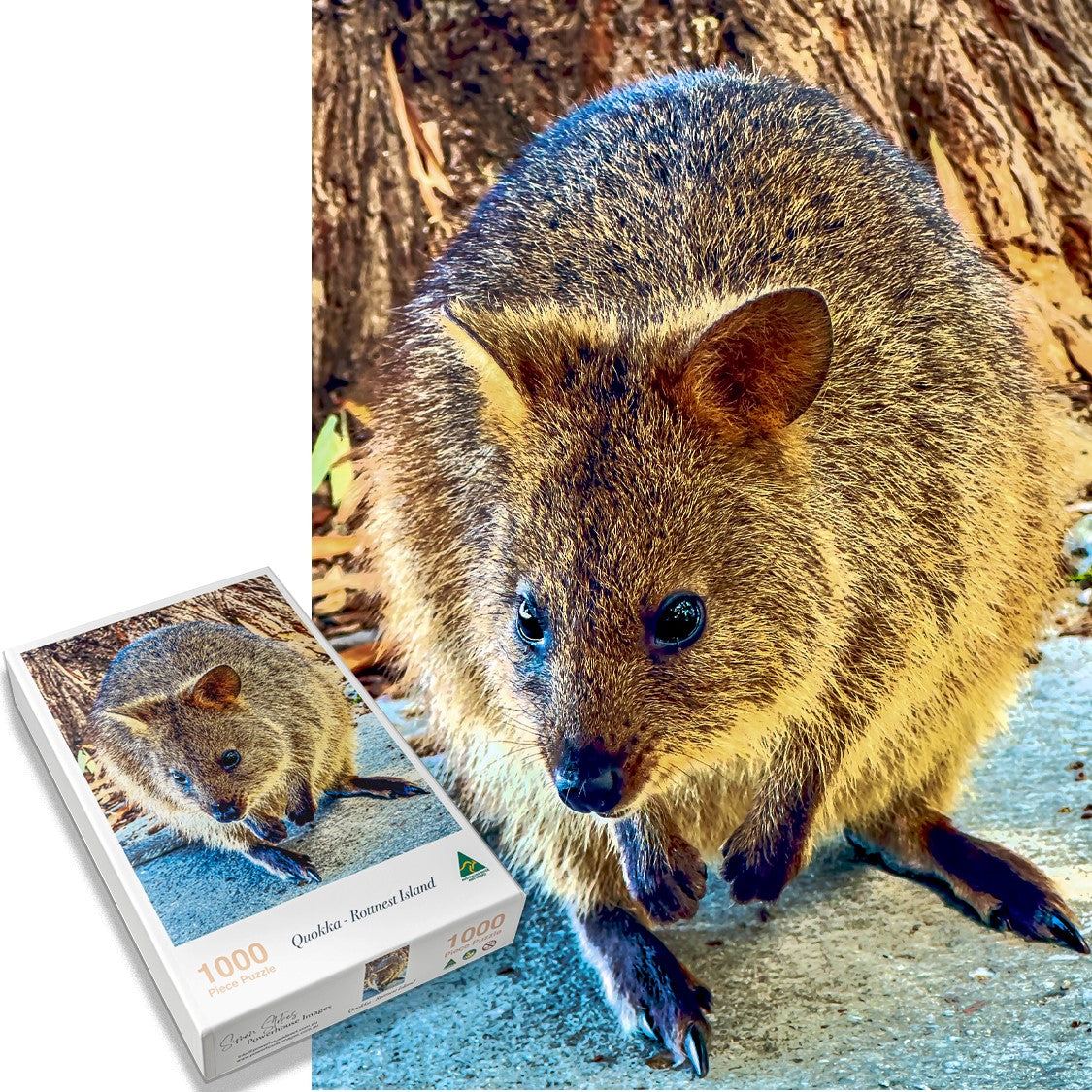 Quokka Jigsaw Puzzle – WA Visitor Centre Shop | Souvenirs, Apparel ...